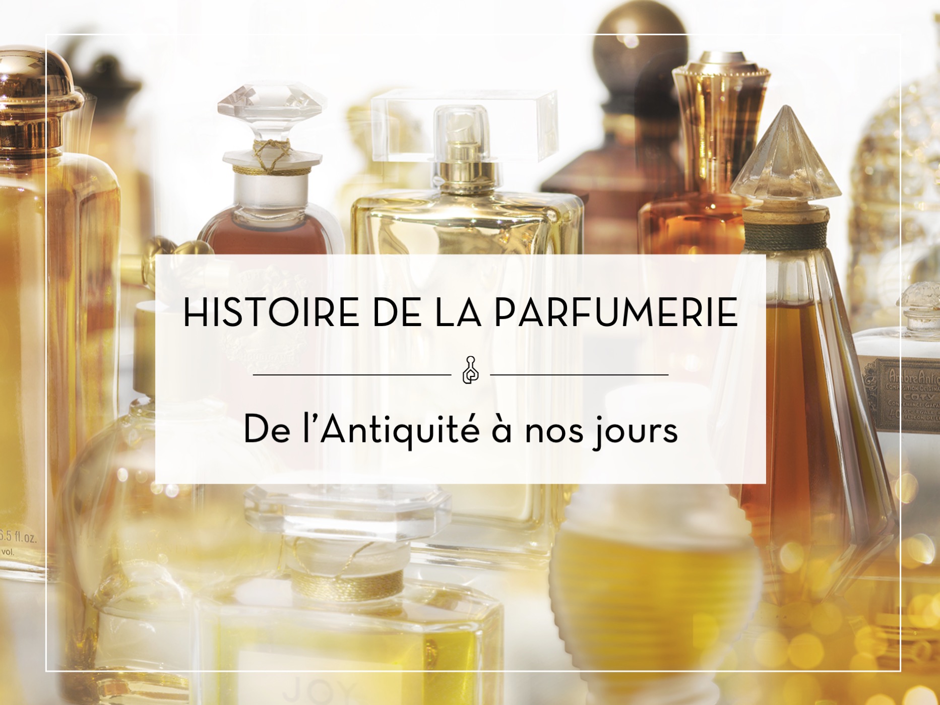 L'histoire du Parfum : un Voyage à travers le Temps - Prestige Parfums